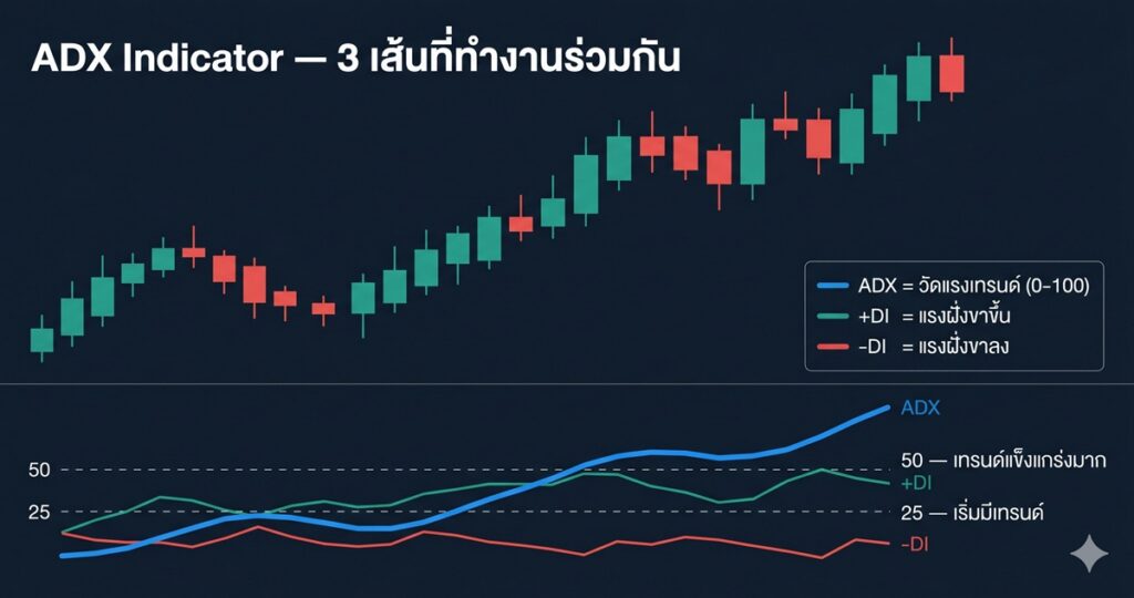 ADX Indicator คืออะไร? วิธีวัดแรงเทรนด์ก่อนเปิดออร์เดอร์